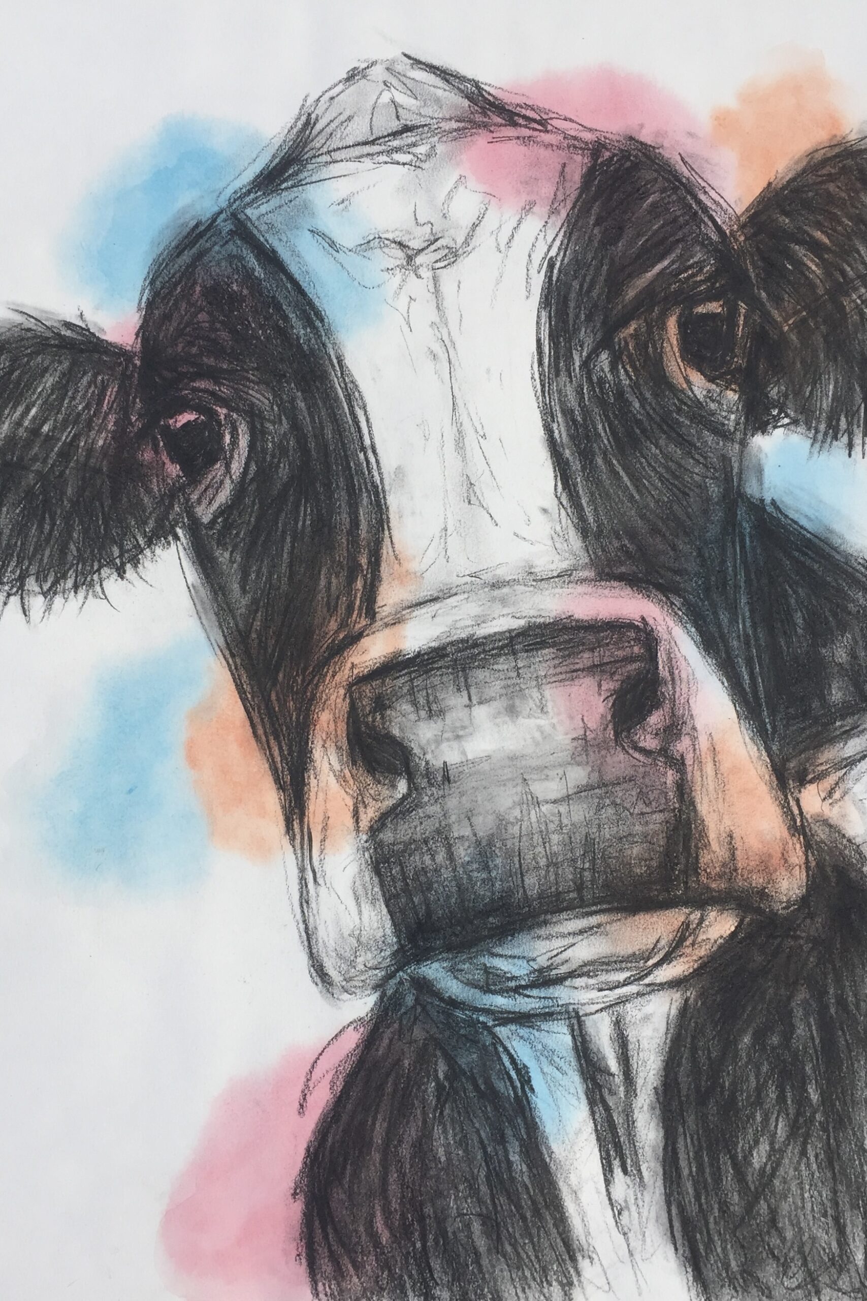 Wildlife Art - Animal Artist Devon - Natalie Grace Art